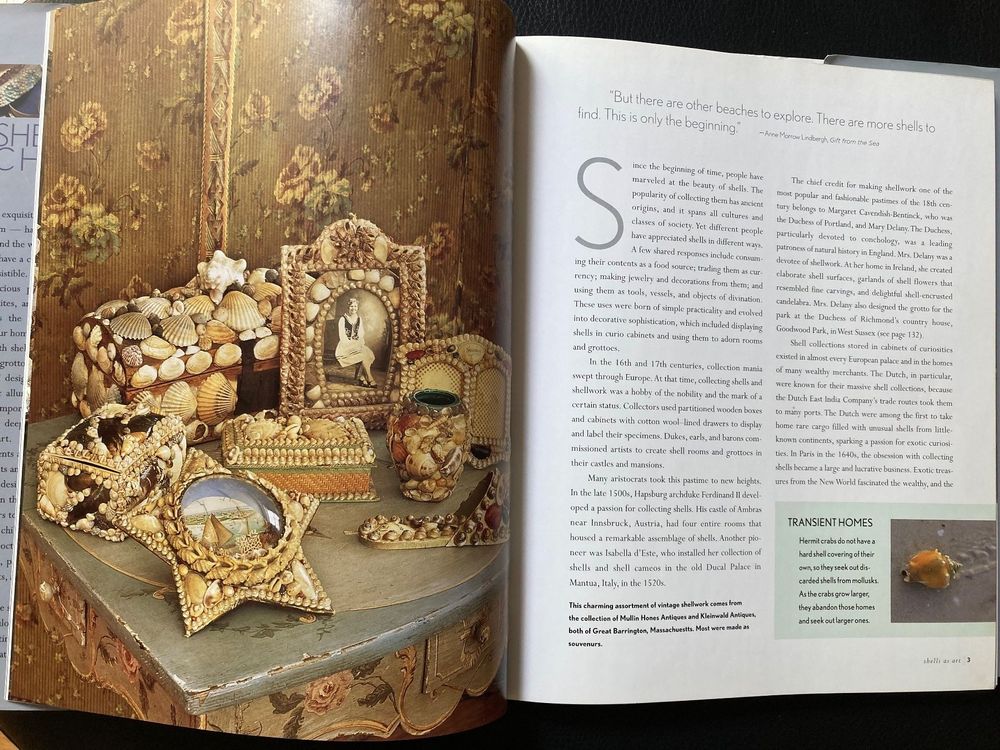 Shell Chic: Ultimate Guide to Decorating Your Home w. Shells (Gebraucht ...