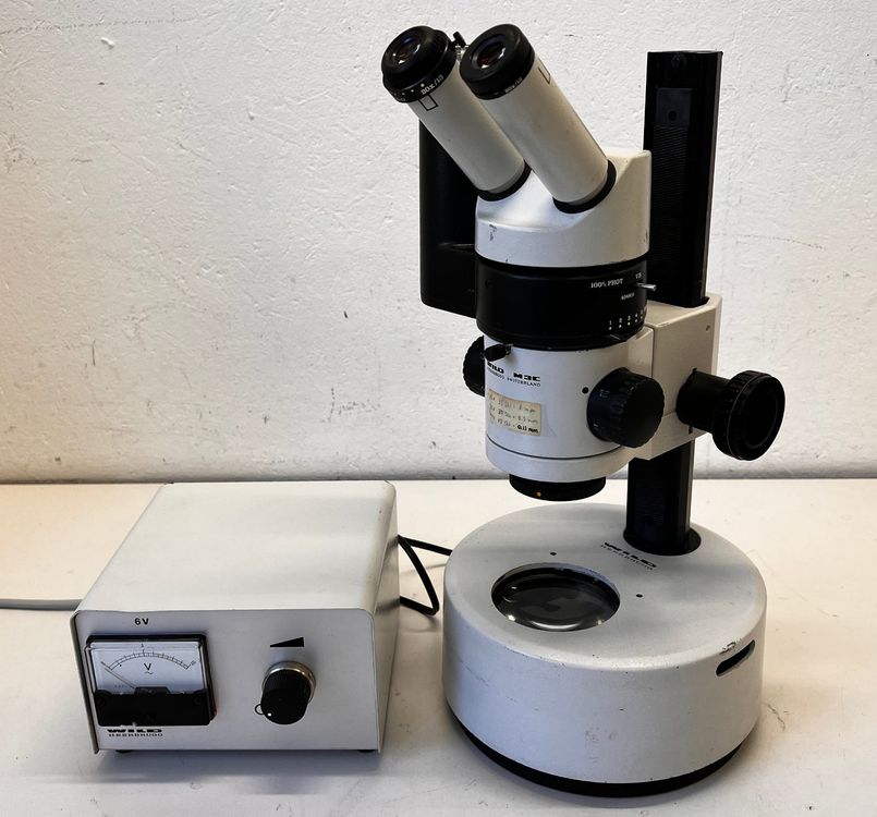 Wild Leica Stereo Mikroskop M3C mit Phototubus | Kaufen auf Ricardo