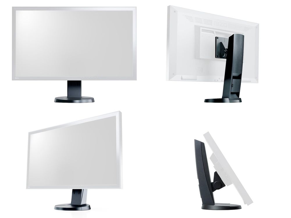 Eizo Monitor Standfuss (Flexscan) 27" (Gebraucht) in Winterthur für CHF ...