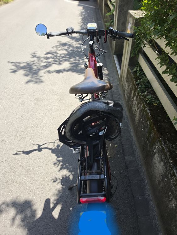 Flyer E-Bike | Schweizer Premium Qualität | Top Zustand (Gebraucht) in ...