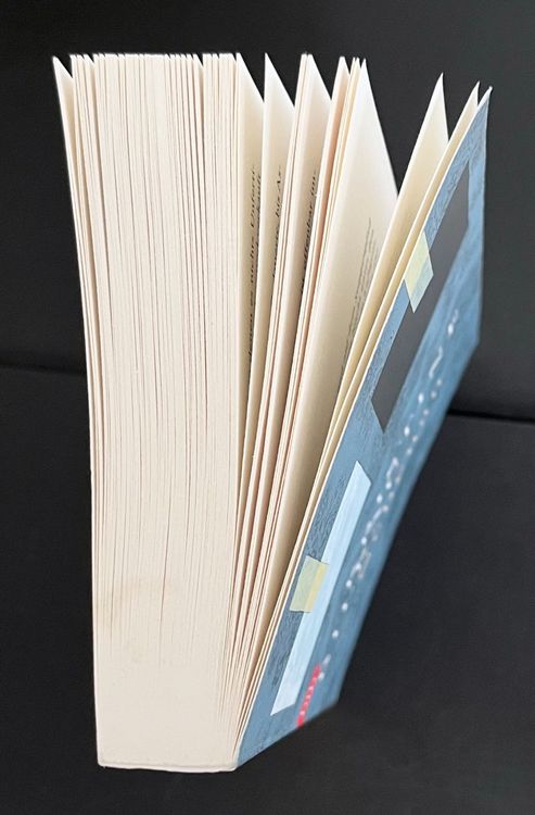 Nebenan – Kristine Bilkau – btb Softcover – wie neu (Neu (gemäss ...