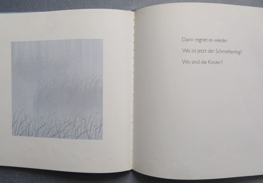 Ein Sommerregen - Bilderbuch illustriert von Kota Taniuchi | Kaufen auf ...