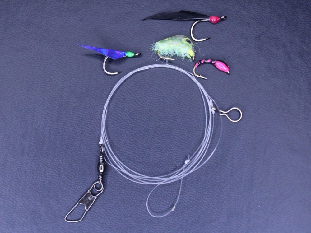 Hegene Gambe drop shot leurres interchange Pêche Angeln | Kaufen auf ...