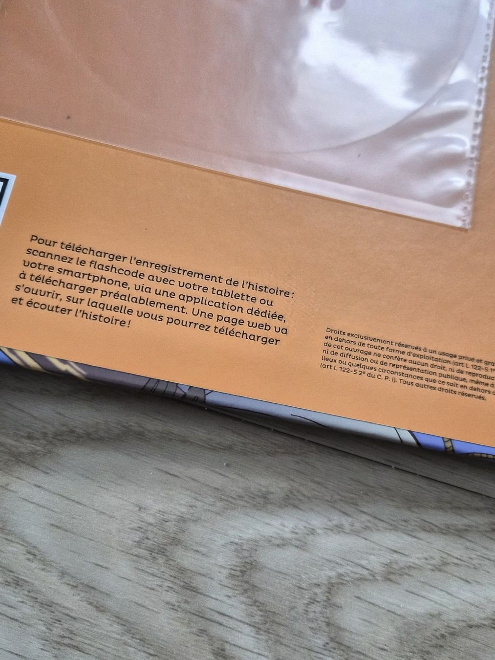 Livre Peter Pan sans CD audio (D'occasion) à La Joux FR pour CHF 5 ...