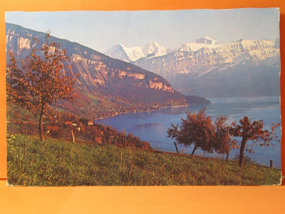AK Thunersee Eiger Mönch Jungfrau 1973 (Gebraucht) in Grenchen für CHF 0.35 – mit Lieferung auf ...