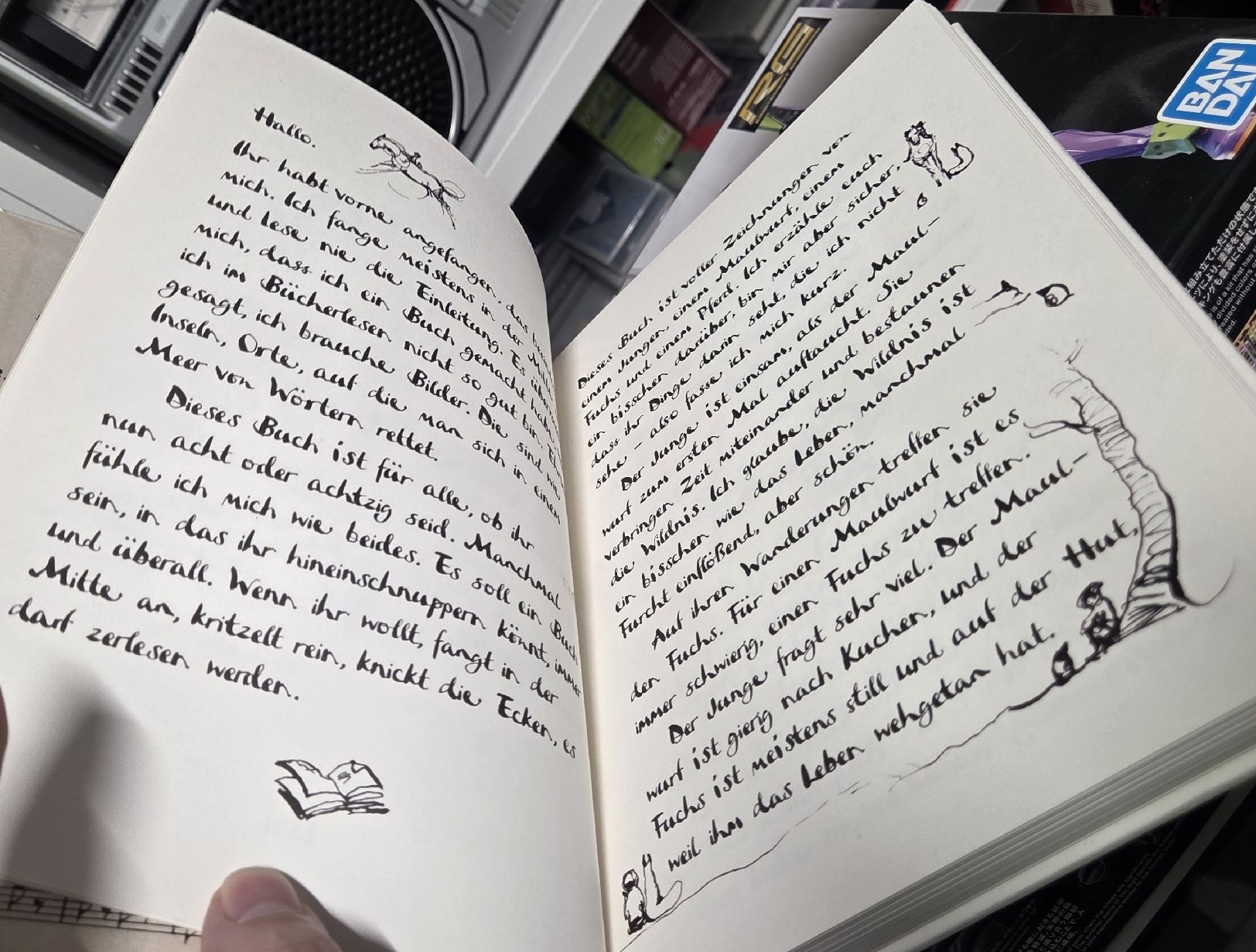 Der Junge, der Maulwurf, der Fuchs und das Pferd - C Mackesy (Neu ...