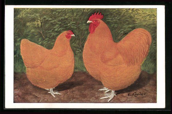 Künstler sign.Kurt Zander: Gelbe Orping | Kaufen auf Ricardo