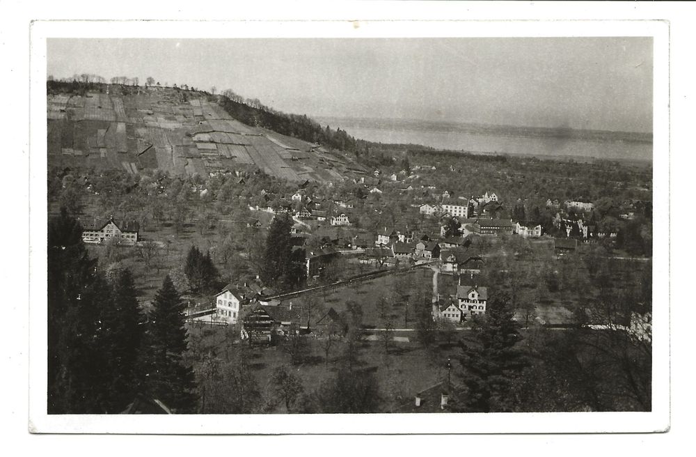 Thal (SG) Buechberg - Rebberge - echte Foto-AK - 1935 | Kaufen auf Ricardo