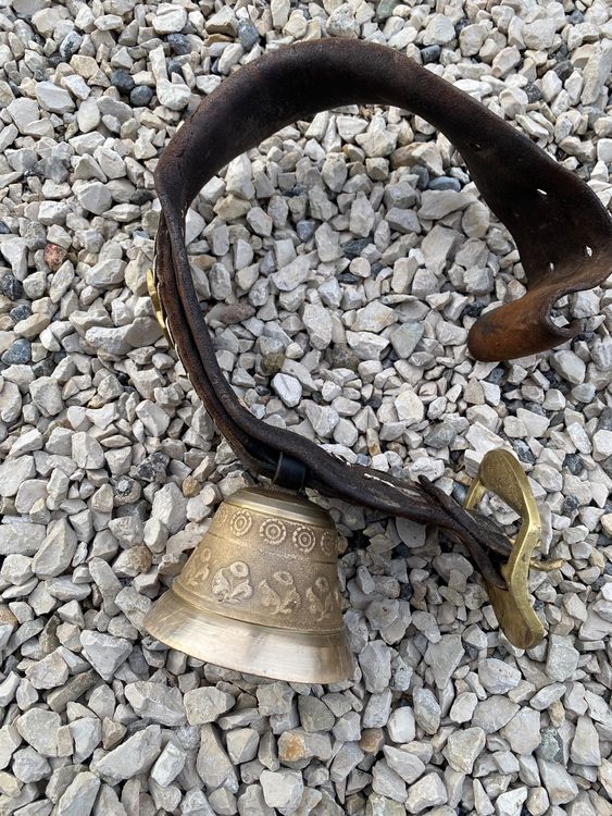 Cloche à vaches | Kaufen auf Ricardo