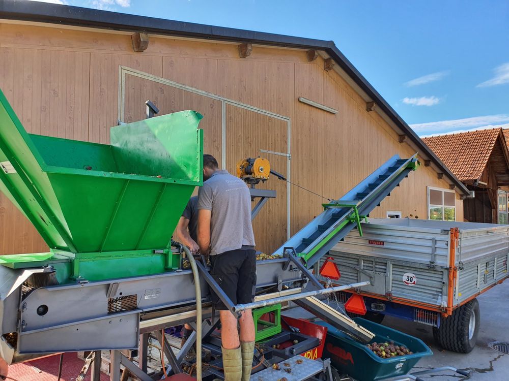 Vorserie Obstsortieranlage / Förderband | Kaufen auf Ricardo