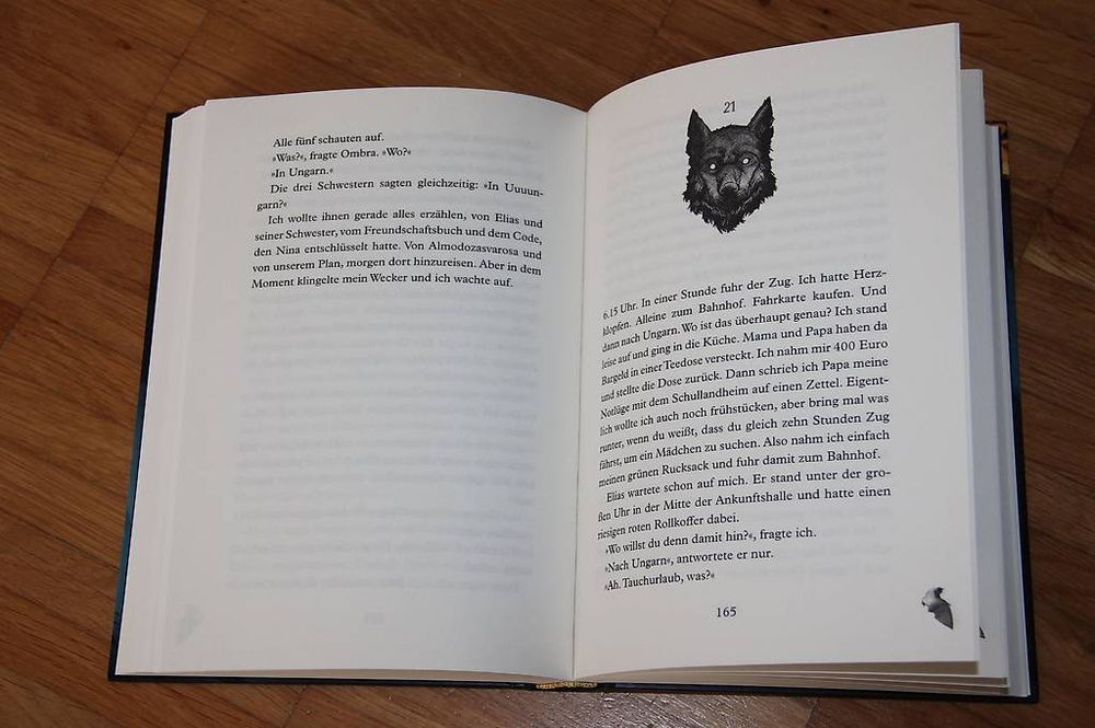 Traumspringer von Alex Rühle - Abenteuergeschichte ab 10 J. (Gebraucht ...