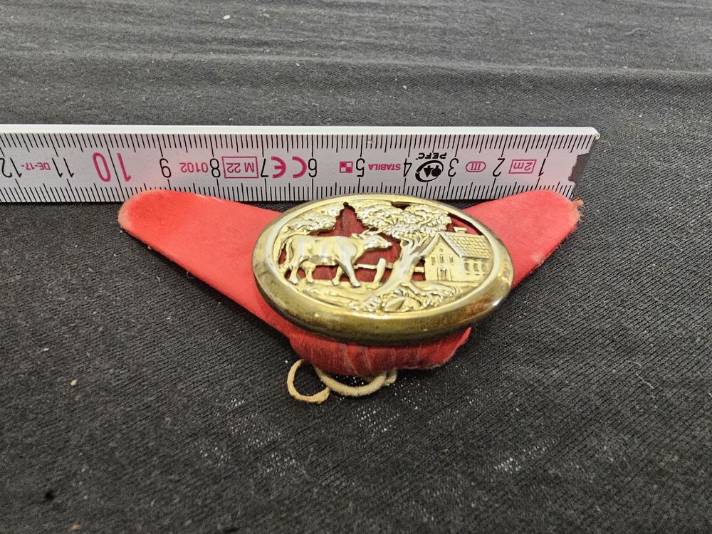 Antike Silber Brosche Appenzell Trachten (Gebraucht) in Wolfertswil für CHF 160 – mit Lieferung ...