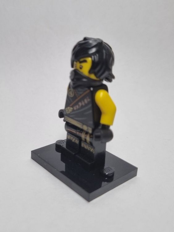 LEGO Ninjago njo575 Cole - Legacy, Rebooted, 'MANTER' Torso | Kaufen ...