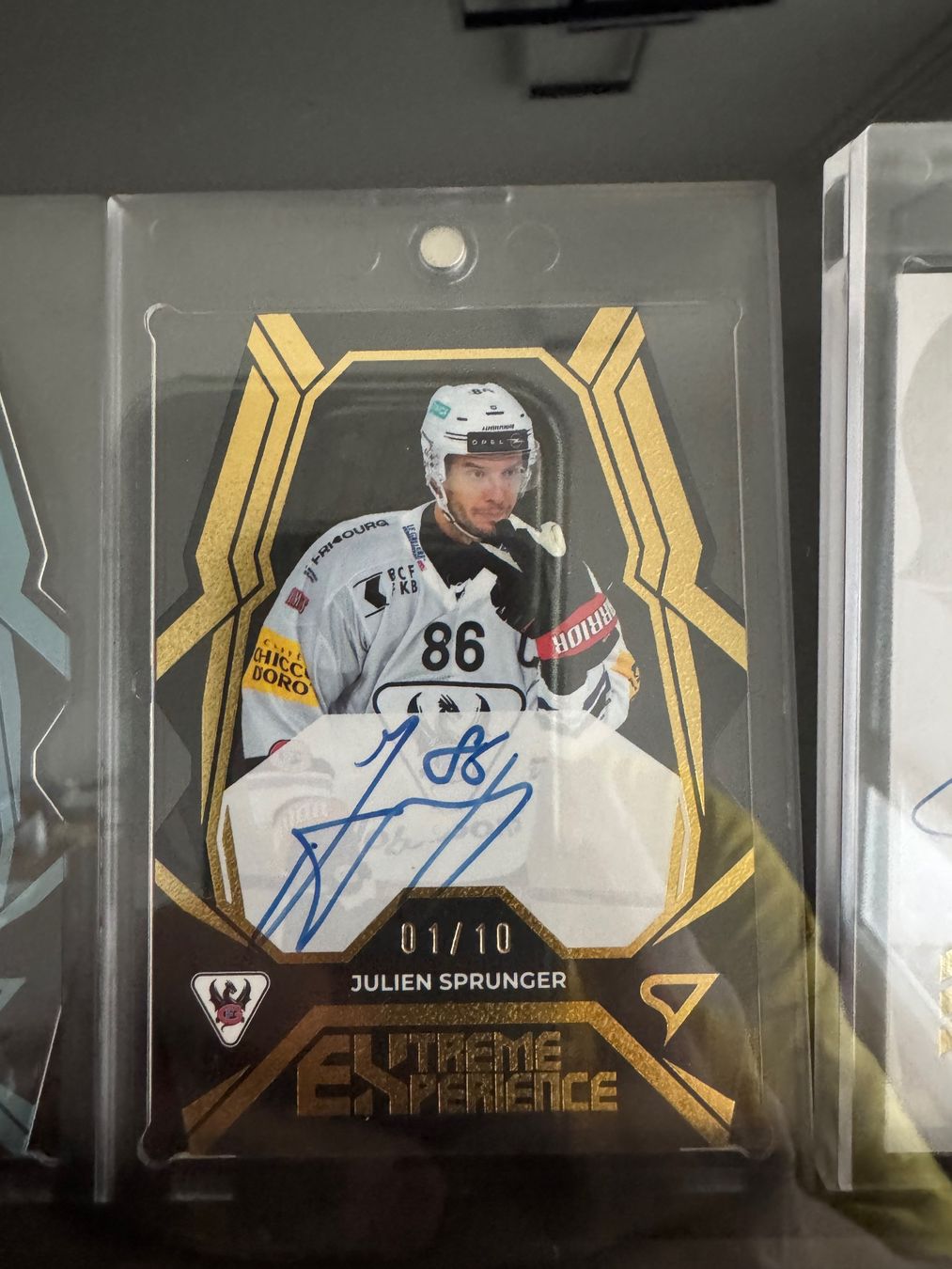 Julien Sprunger. extreme experience. HCFG sportzoo (Gebraucht) in ...