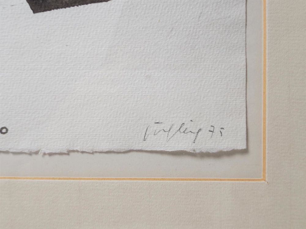 Fritz FRÖHLICH /034 (Gebraucht) in Zürich für CHF 82 – nur Abholung auf ...