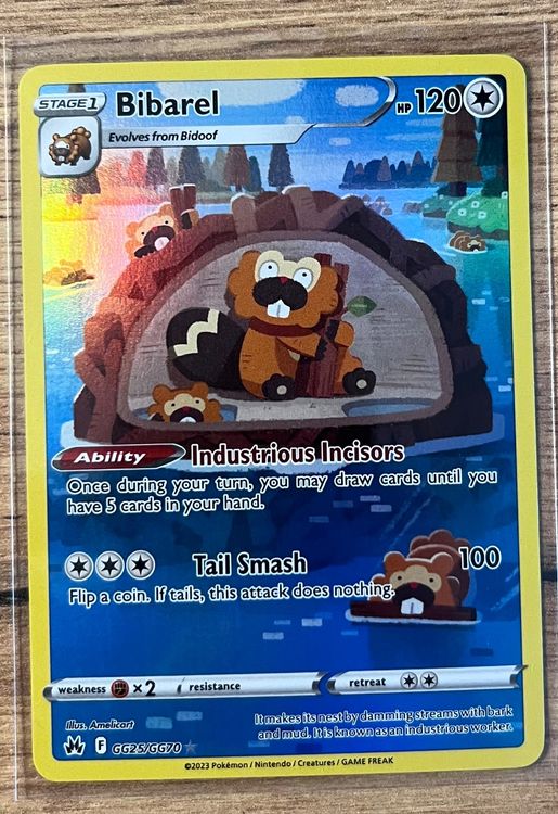 Bibarel GG25/70 Pokemon Galarian Gallery Crown Zenith #2 | Kaufen auf ...