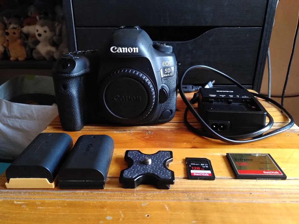 Canon EOS 5D Mark IV Body (2x acus, 1x CF, 1x SD, ...) | Kaufen auf Ricardo