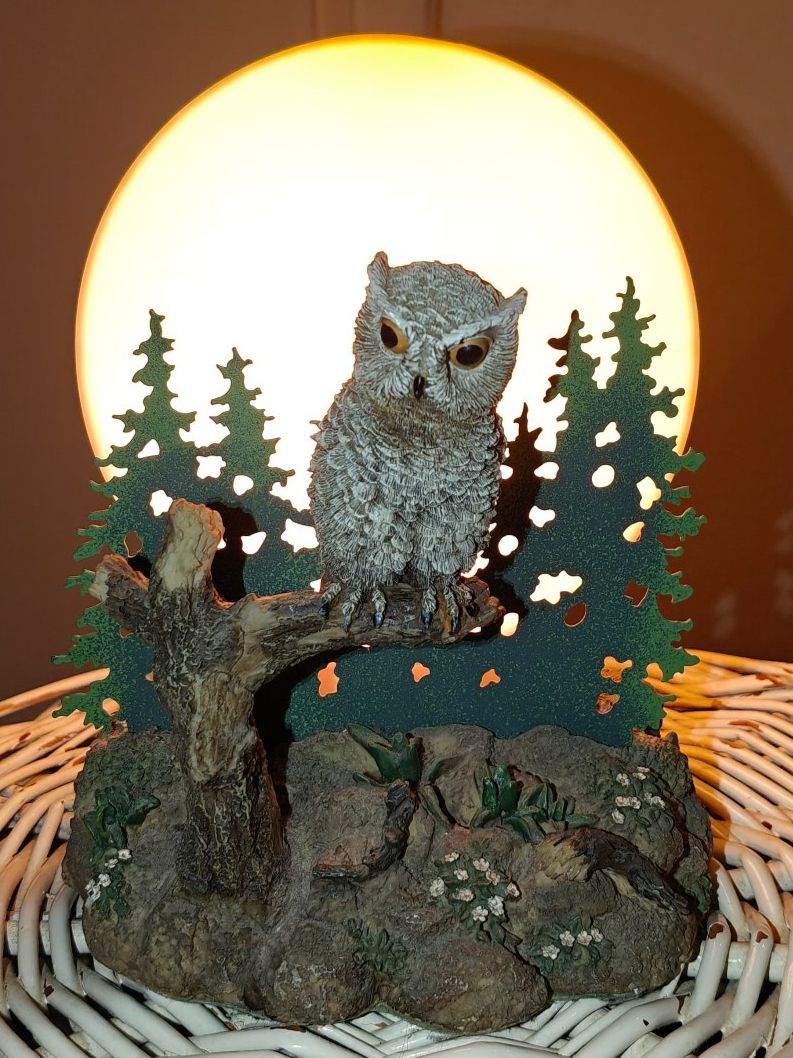 Einzigartige Lampe: Eule vor Vollmond /(Harry Potter Hedwig) (Gebraucht ...