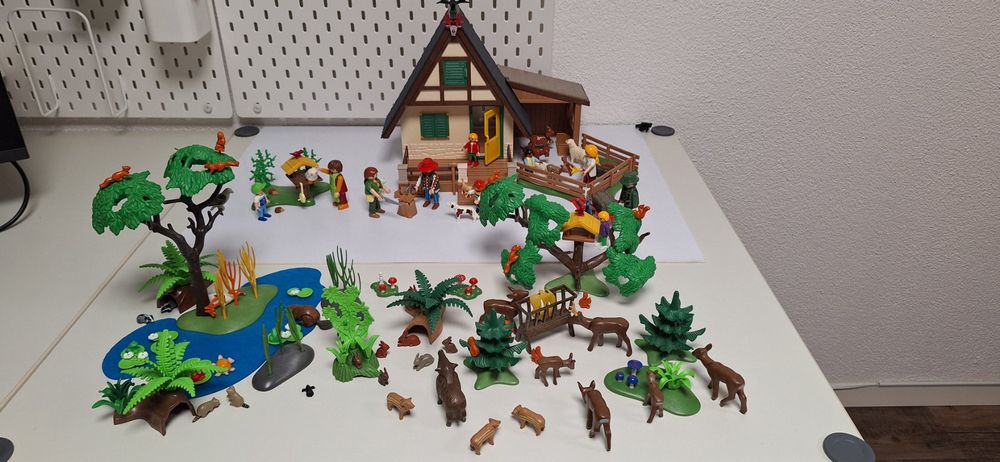 Forsthaus mit Tierpflegestation, Wald, Teich, Waldtiere (Gebraucht) in Mellingen für CHF 39 ...