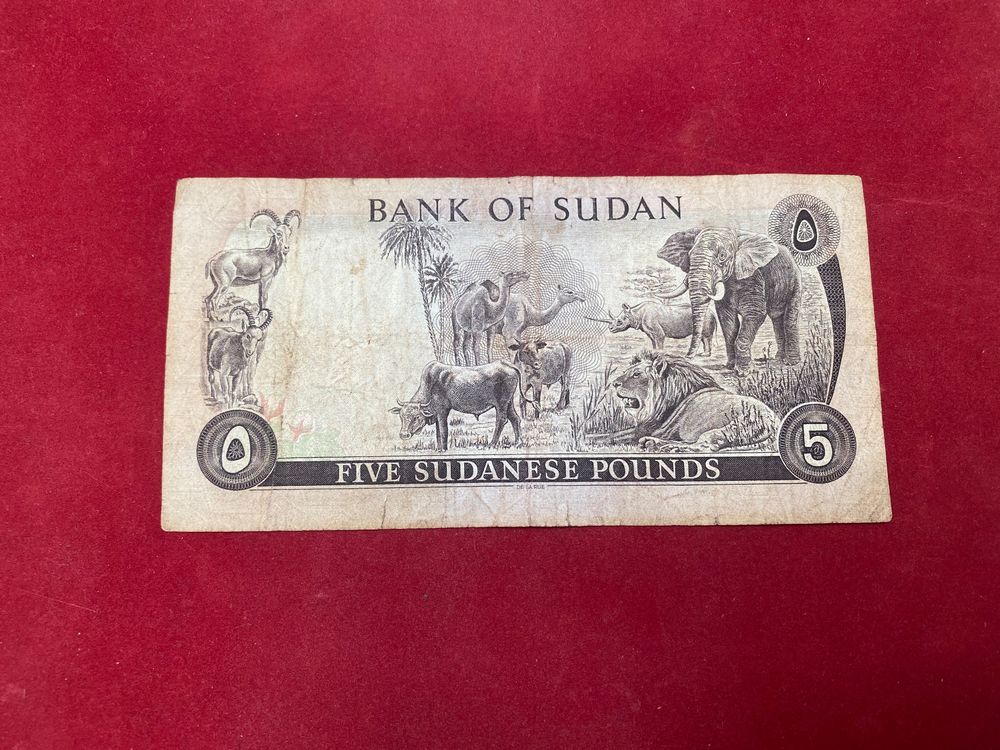 Sudan 5 Pounds 1977 (Gebraucht) in Naters für CHF 11 – mit Lieferung auf Ricardo kaufen