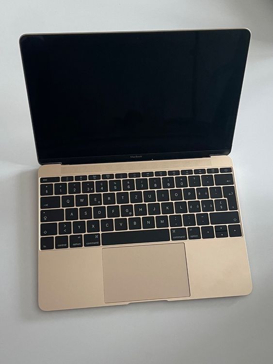 MacBook (Retina, 12-inch, Early 2016, rose-gold, 256GB) | Kaufen auf ...