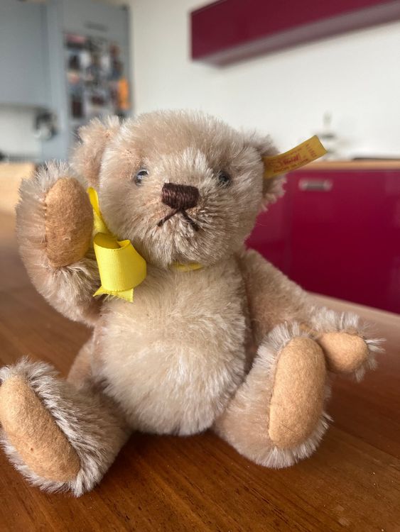 Steiff Teddy | Kaufen auf Ricardo