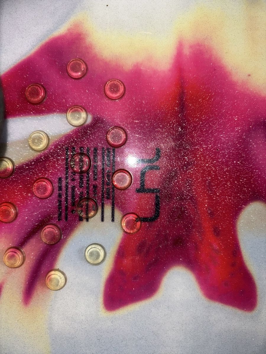 Snowboard Fever 147cm mit Head Bindung, Top Zustand! (Gebraucht) in ...