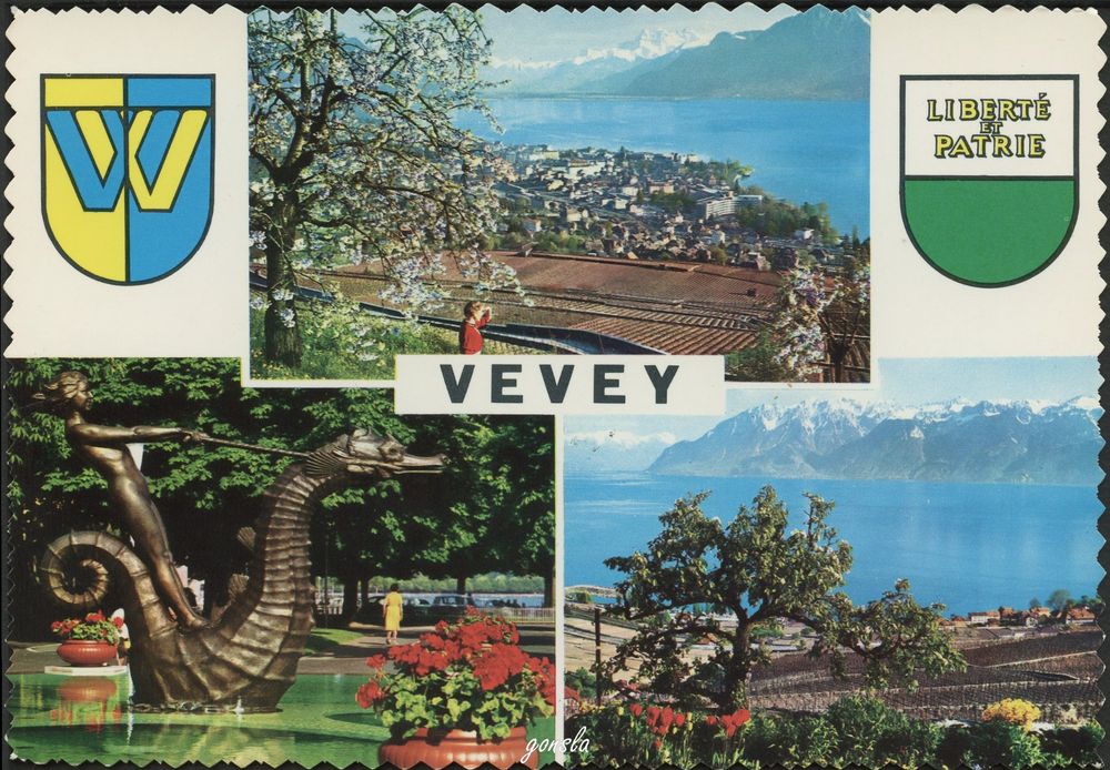 VEVEY 1960 "Multi-Vues et Blason" | Kaufen auf Ricardo
