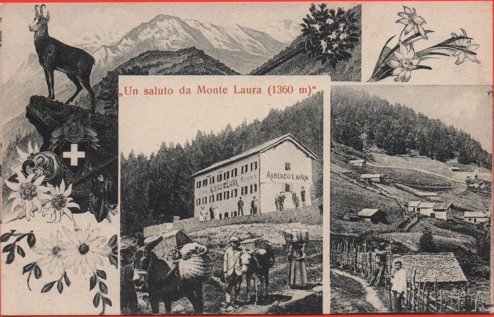 ROVEREDO Un saluto da Monte Laura, Maultier z. Albergo Laura (Neu ...