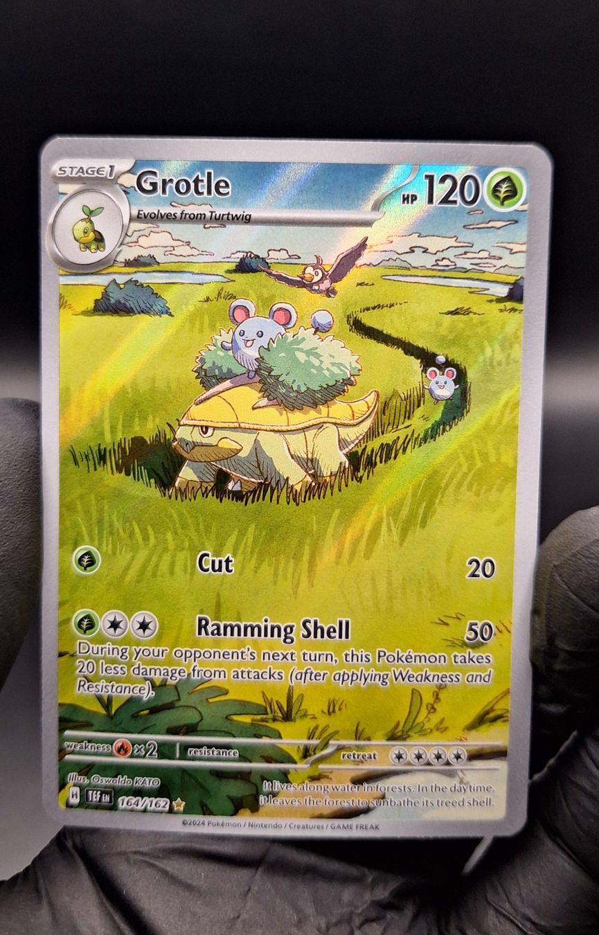 Chelcarain (TEF 164) Gewalten der Zeit - Grotle (Gebraucht) in Naters ...