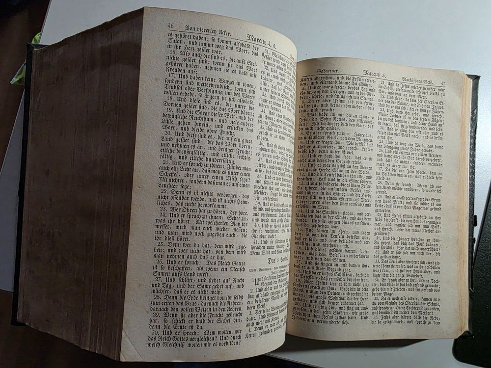 Antike Bibel - Die Heilige Schrift - Basel 1896 (Gebraucht) in ...