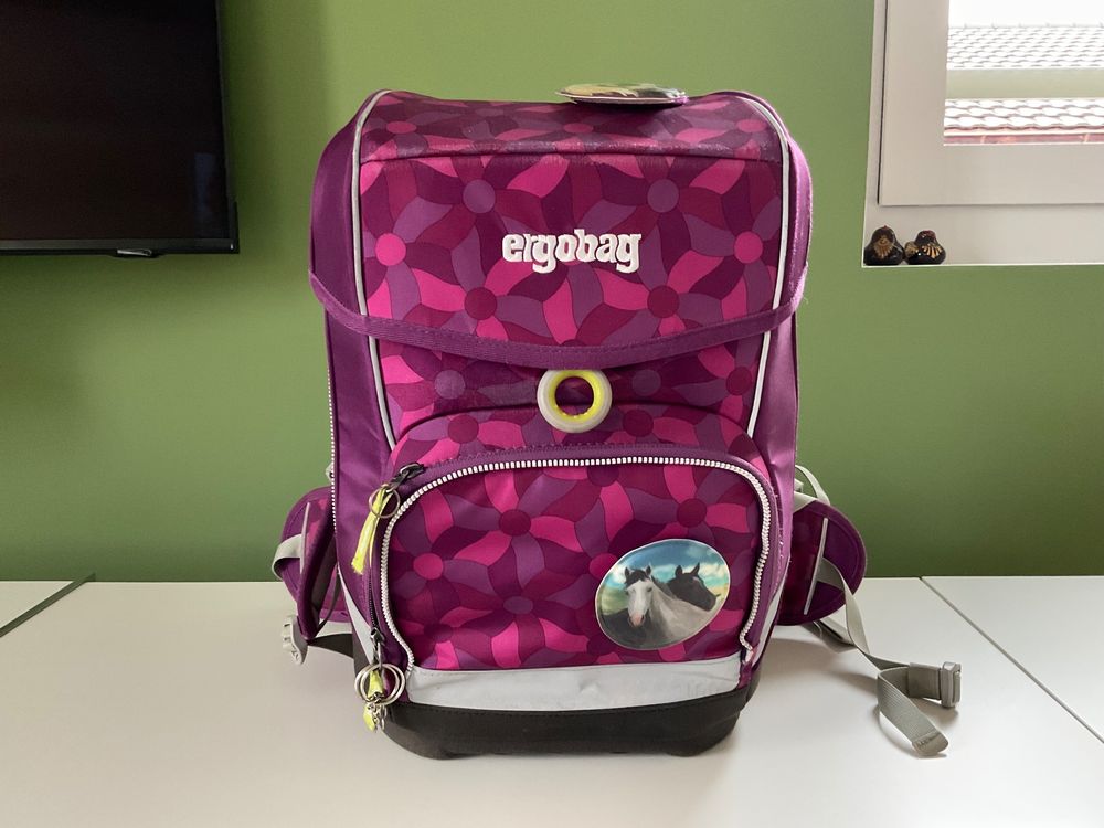Schulthek ergobag Cubo 1-4 Klasse Mädchen (Gebraucht) in Pfäffikon ZH für CHF 38 – mit Lieferung ...