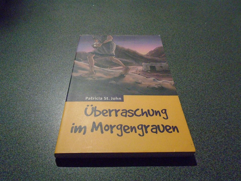 Ueberraschung im Morgengrauen, Patricia | Kaufen auf Ricardo