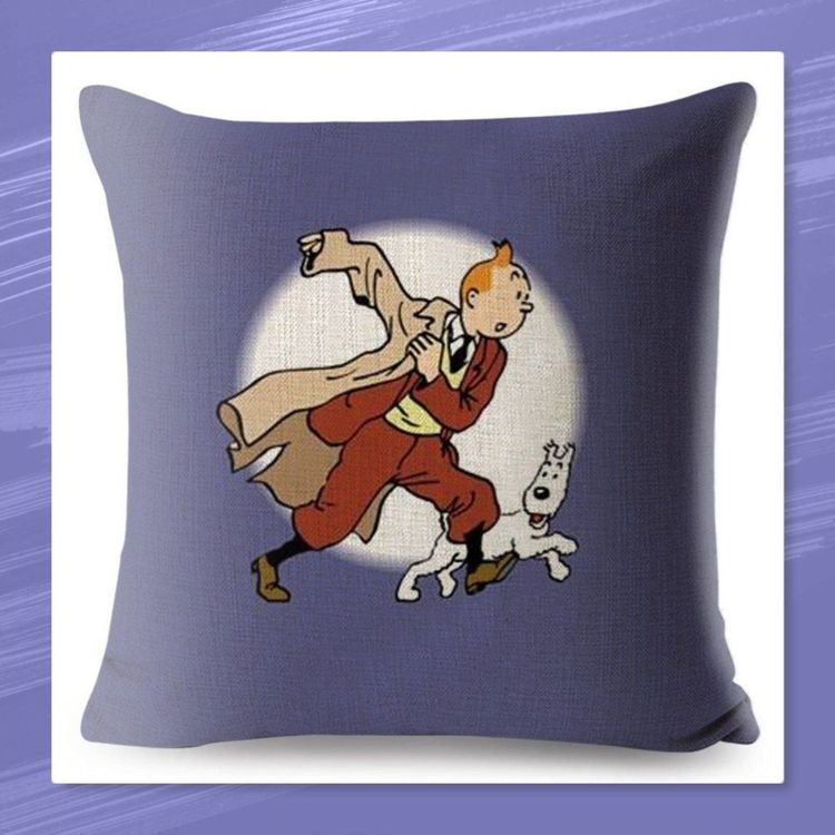 NEU: Tim und Struppi Tintin Kissenbezug kein comic Magazin (Neu (gemäss Beschreibung)) in Matten ...