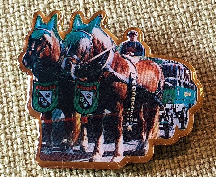 J922 - Pin Egger Bier Pferdewagen (Gebraucht) in Reinach BL für CHF 2 ...