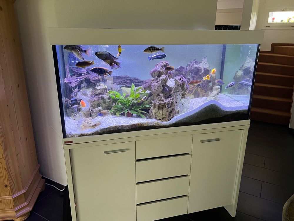 Fabelhafte Aquarium Gebraucht Kaufen Bild