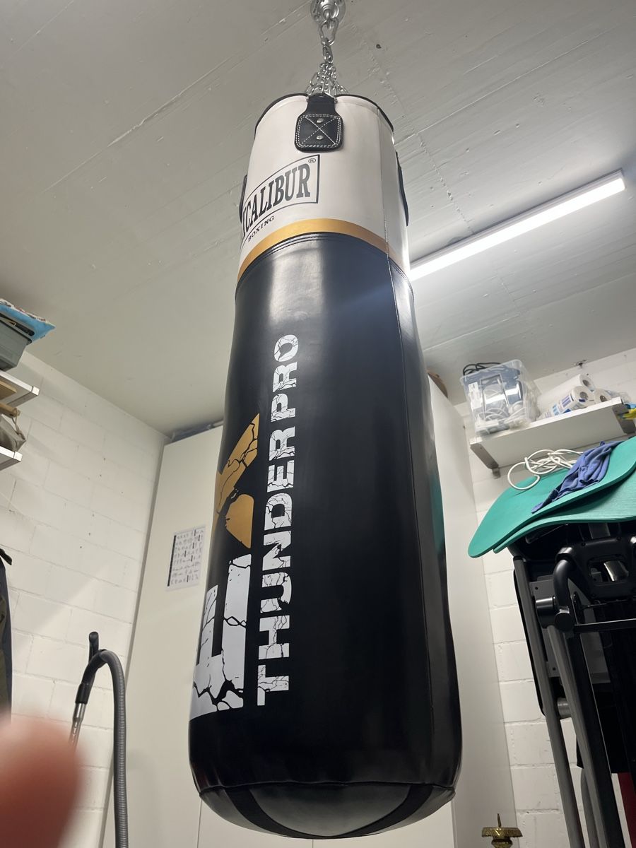Excalibur Boxsack Thunder Pro - Top Zustand! Für Training (Gebraucht ...