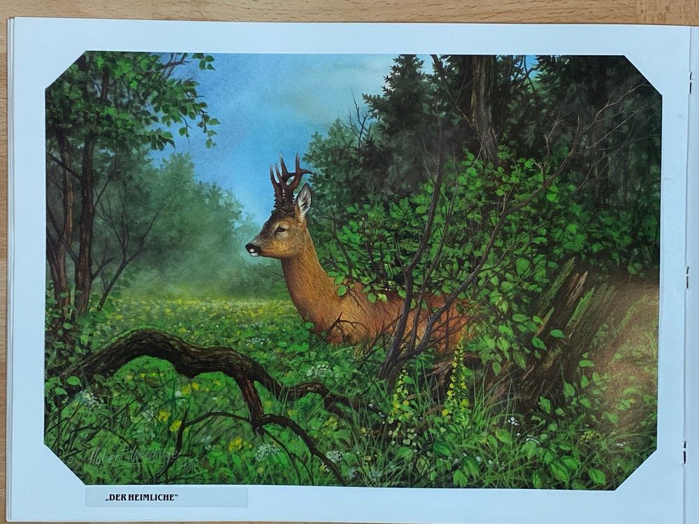 Hubert Weidinger (1951) Mappe mit 12 imposanten Bildern (Gebraucht) in ...