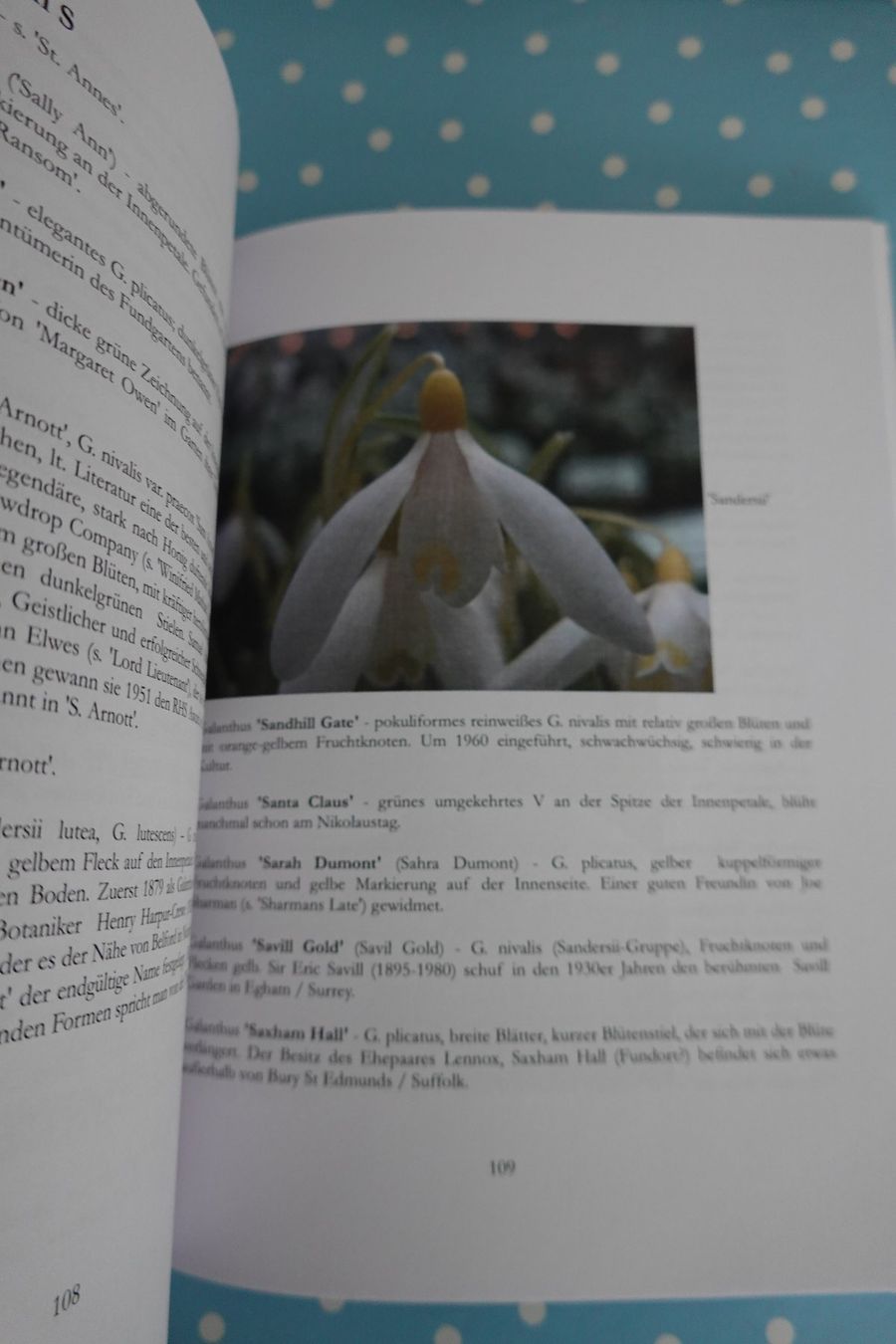 Maria Mail-Brandt: Schneeglöckchen-ABC Galanthus Verzeichnis (Neu ...