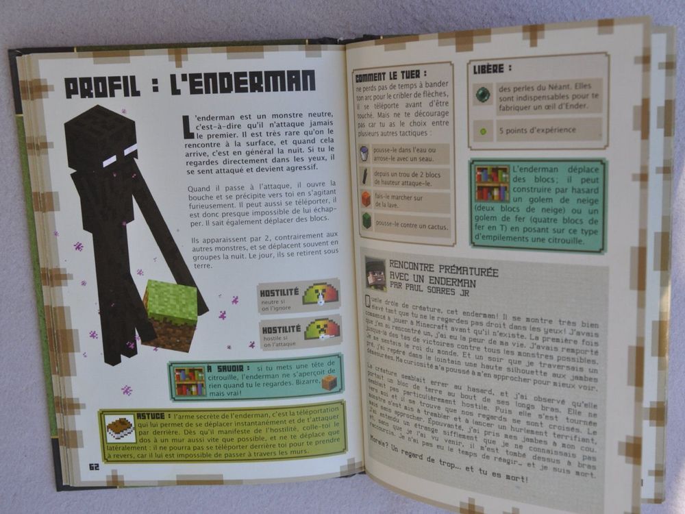 Mindcraft - le guide officiel pour bien débuter (D'occasion) à Fully ...