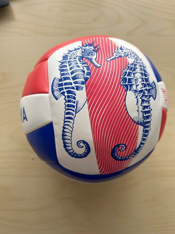 ***Volleyball Copaya BV 100 Volley Ball Beachvolley*** (Neu (gemäss ...