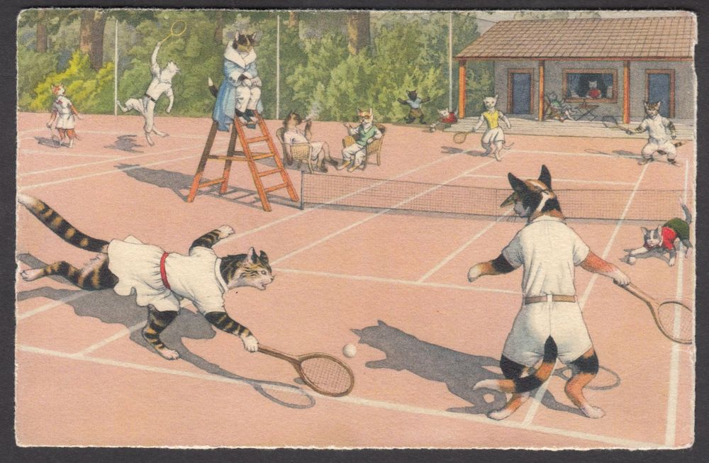 Karten spielen Tennis / Max Künzli (Neu (gemäss Beschreibung)) in ...