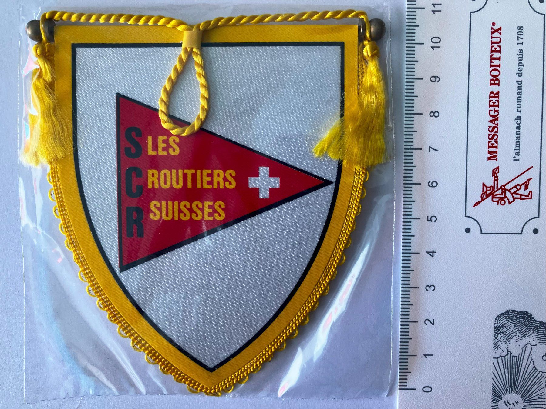 Vintage Fanion LES ROUTIERS SUISSES SECTION VALAIS 1981 (Neu und ...