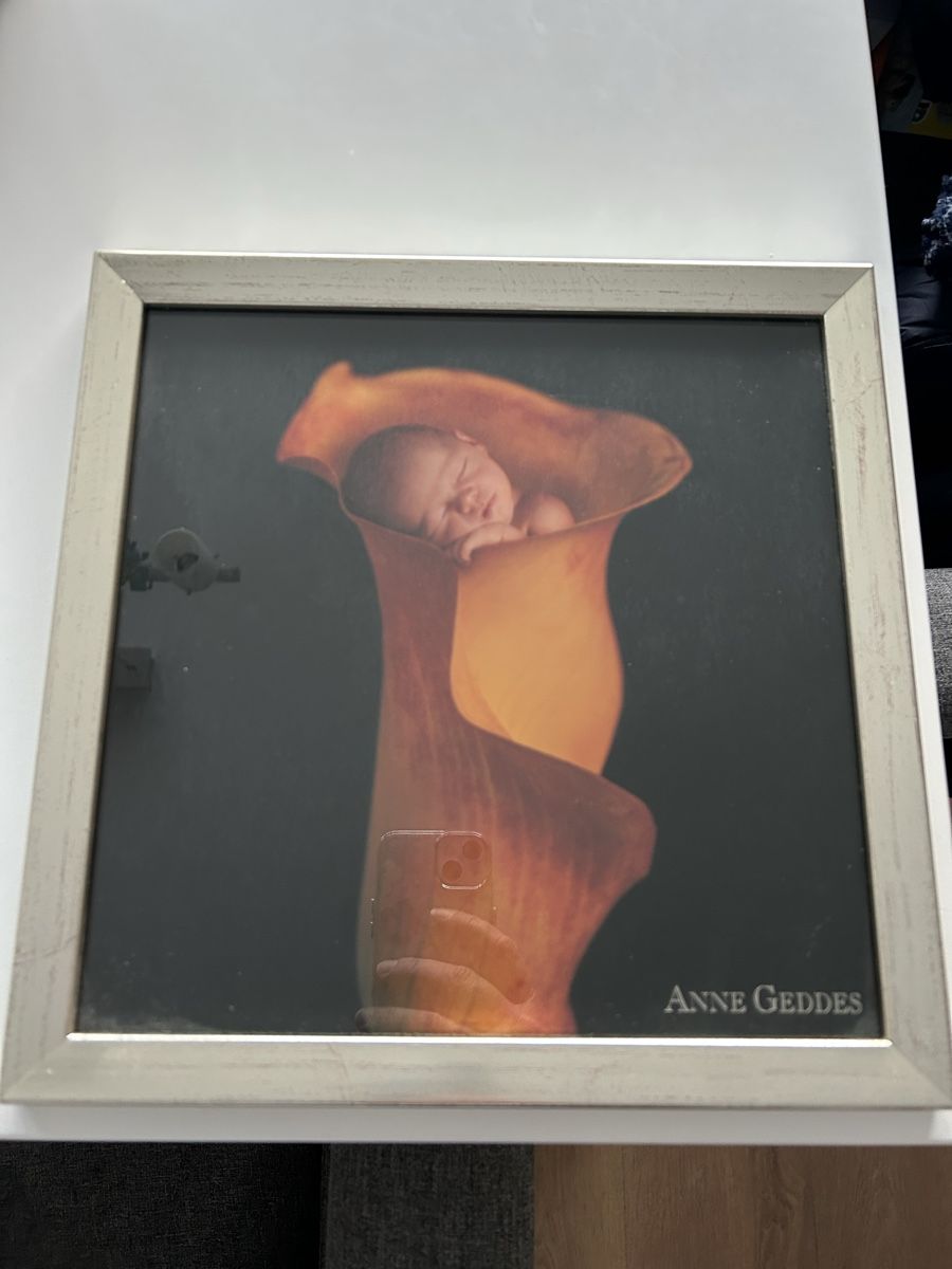 Tableau Anne Geddes (Neuf (Voir description)) à Vuadens pour CHF 8 ...