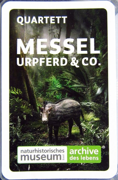 Quartett / Messel Urpferd & Co. (Neu (gemäss Beschreibung)) in ...