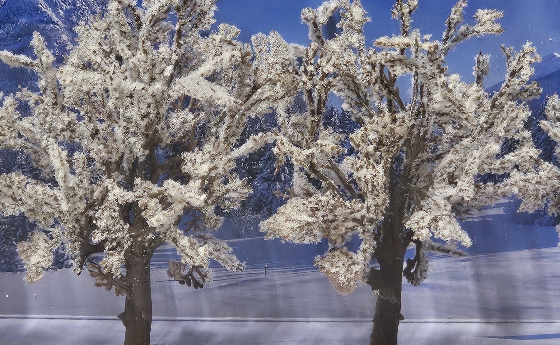 Noch 25075: 7 Stk verschneite Bäume auf der winterlichen Alp (Neu und ...