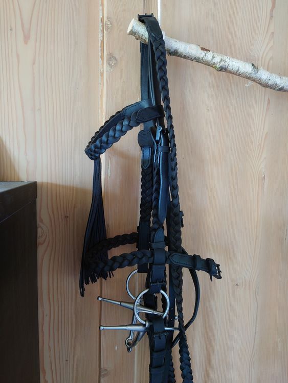Spanischer Zaum (Neu (gemäss Beschreibung)) in Tscheppach für CHF 50 ...