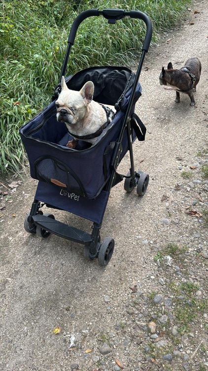 Hundebuggy Bis 20 Kg Gebraucht