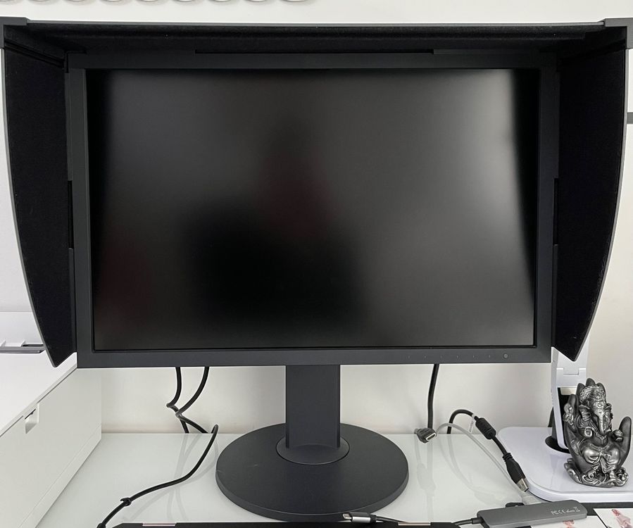 EIZO Monitor (Gebraucht) in Chur für CHF 415 – nur Abholung auf Ricardo ...