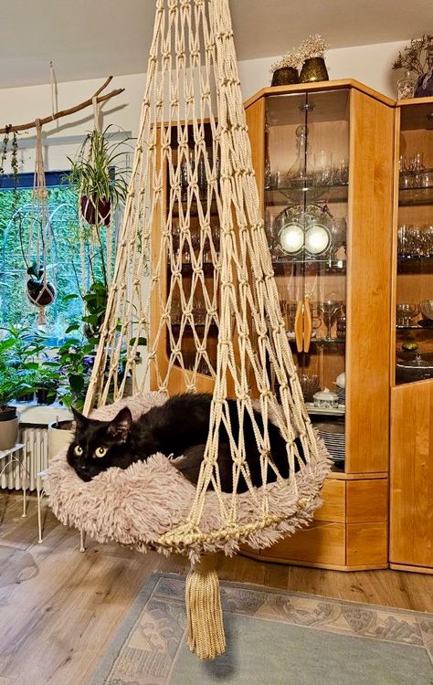 Hängematte für Katze (Neu und originalverpackt) in Adliswil für CHF 199 – mit Lieferung auf ...